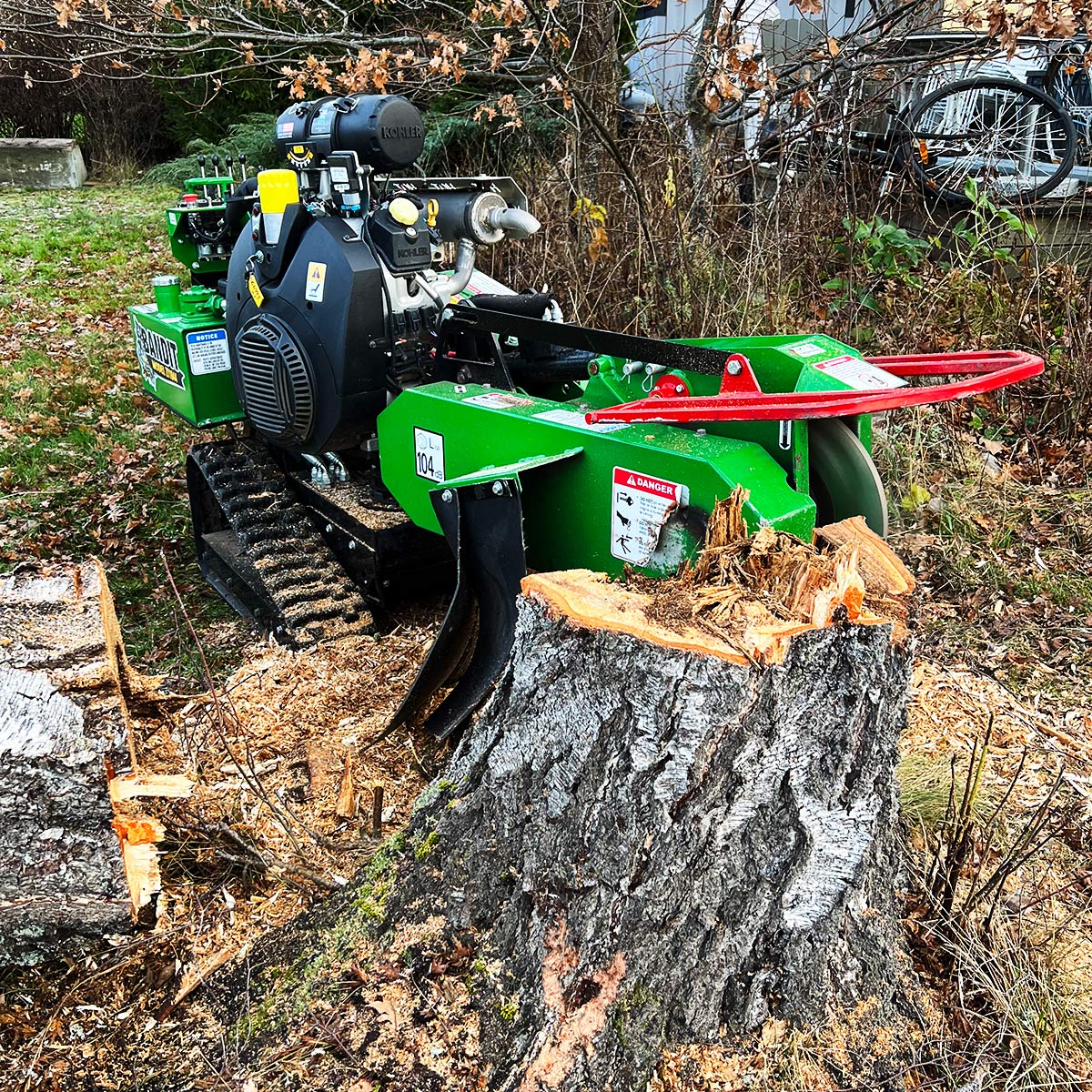 Vanliga frågor om stubbfräsning besvarade • TrädgårdSmart